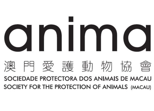 Anima - Macau Lifestyle