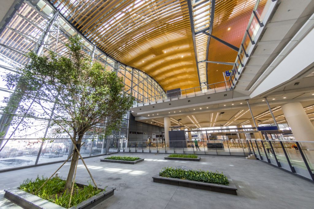 Things You Didn't Know About HZMB and How to Experience It