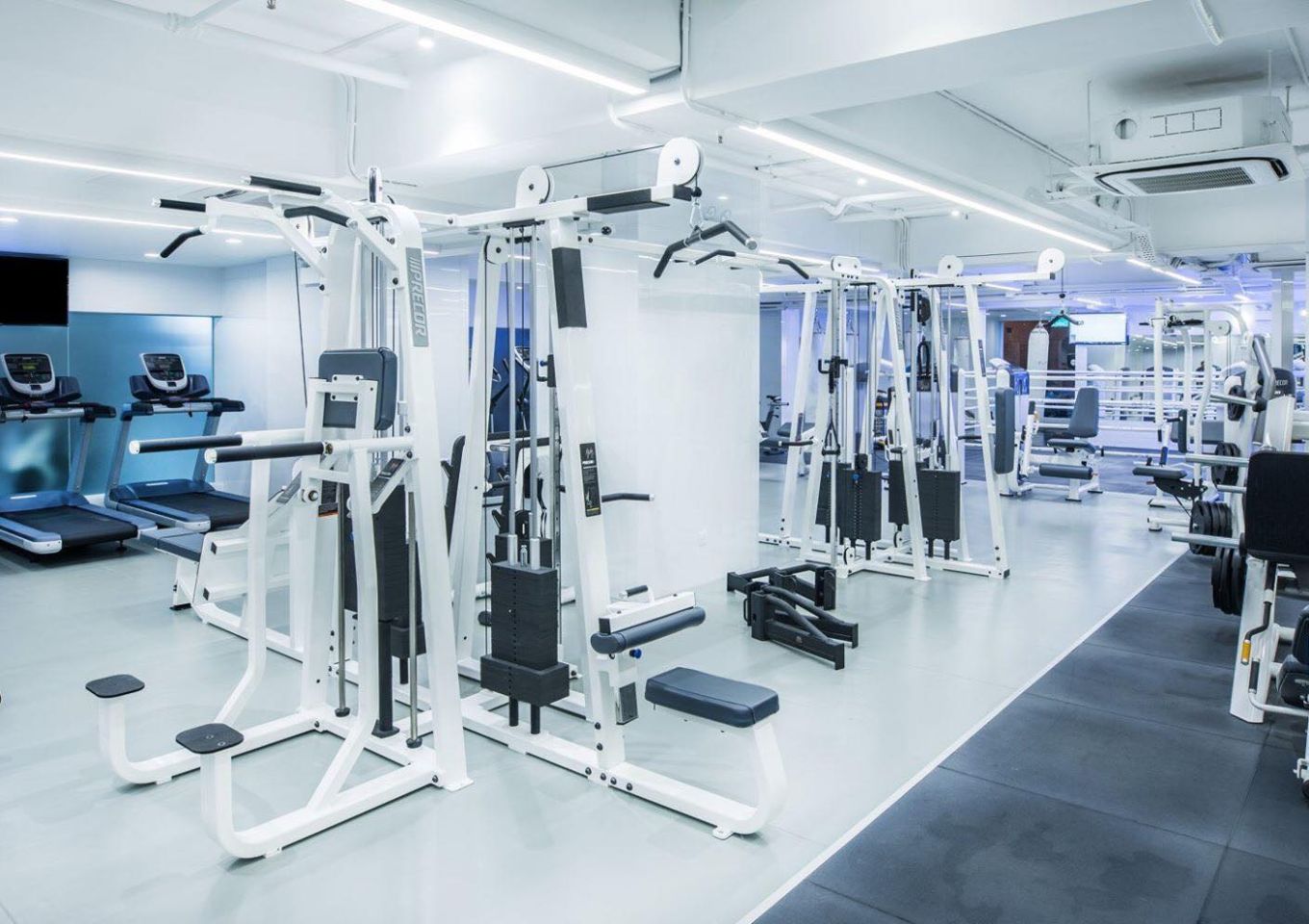 Life Project - Macau Lifestyle