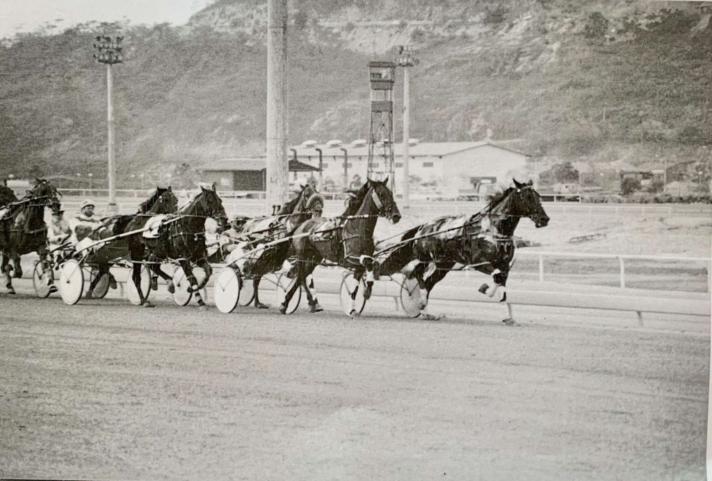 Macau Jockey Club: A Local Fixture Since 1977 - Macau Lifestyle