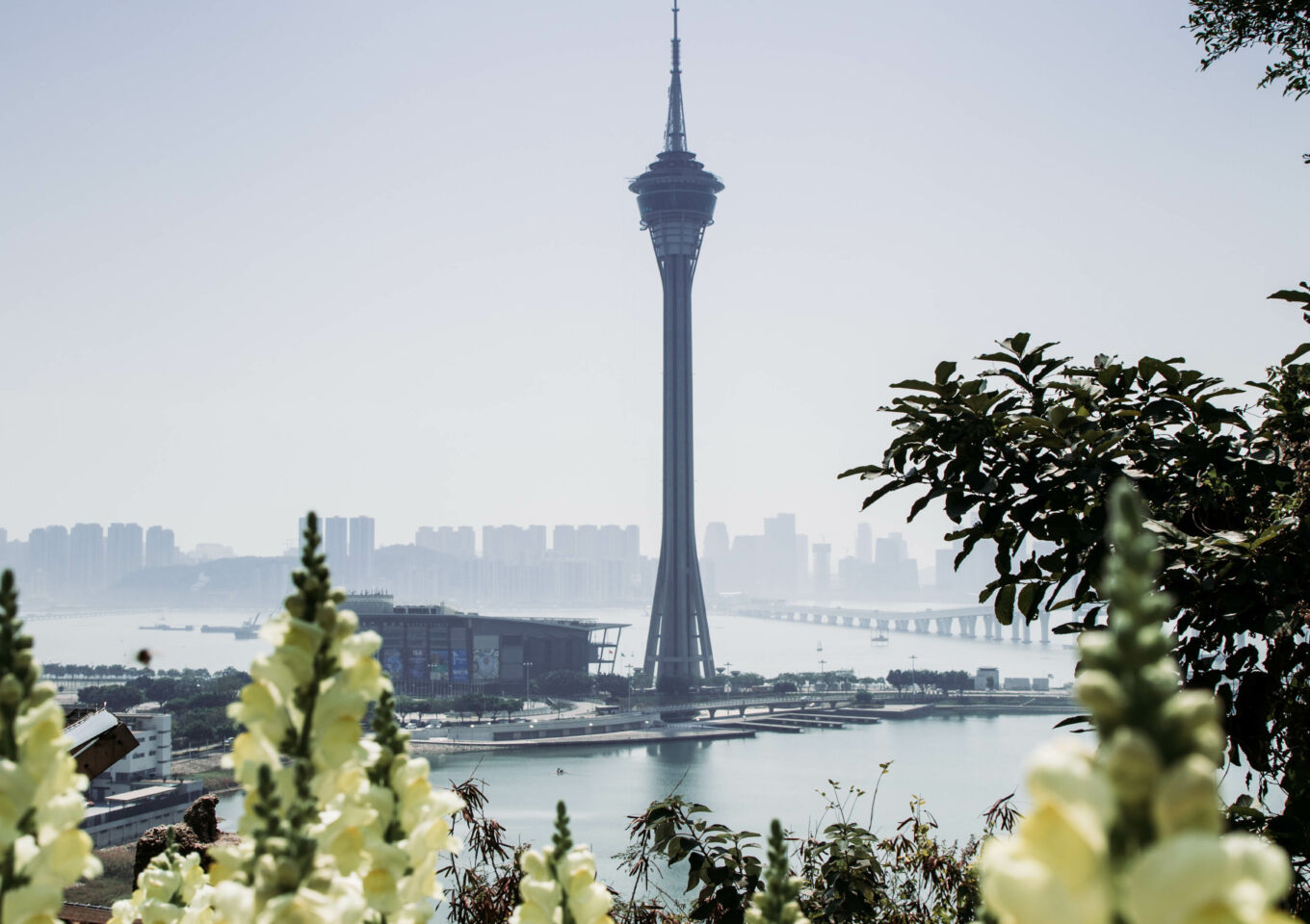 Macau Tower - Macau Lifestyle
