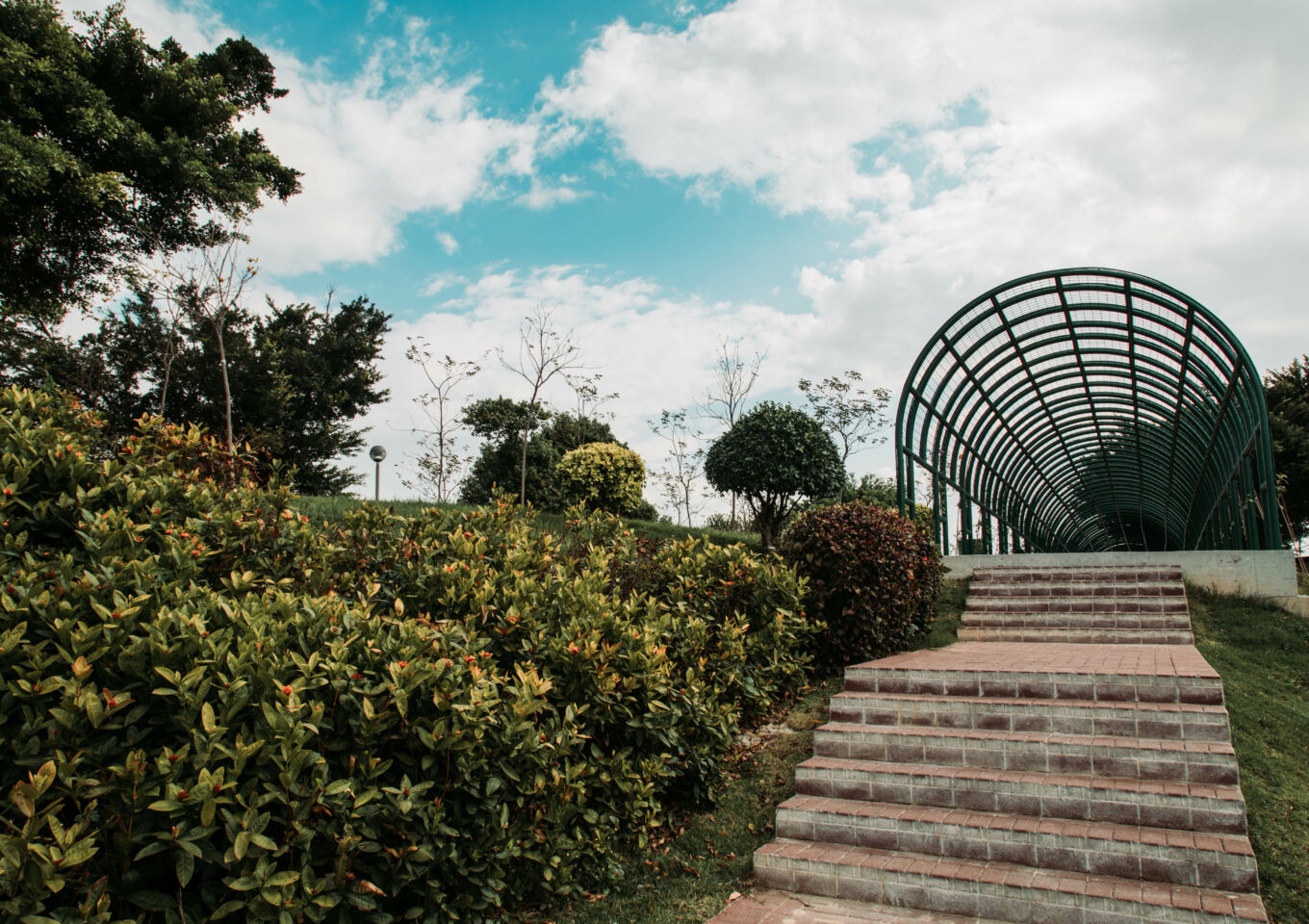 Taipa Grande Nature Park - Macau Lifestyle
