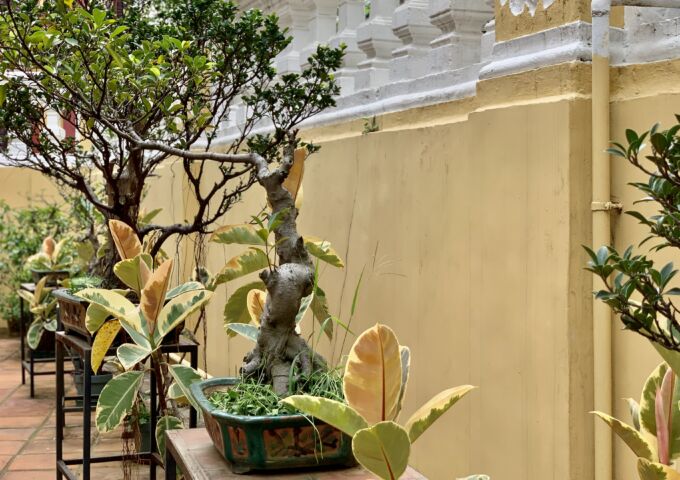 Macao Tea Culture House - Macau Lifestyle