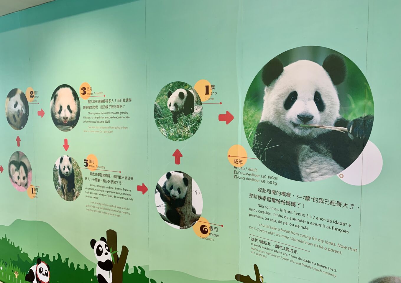 Seac Pai Van Park - Macau Lifestyle